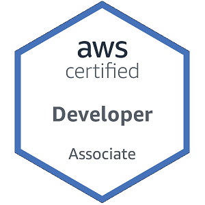 AWS Certified Developer – Associate Chapter wise - Practice Questions ...